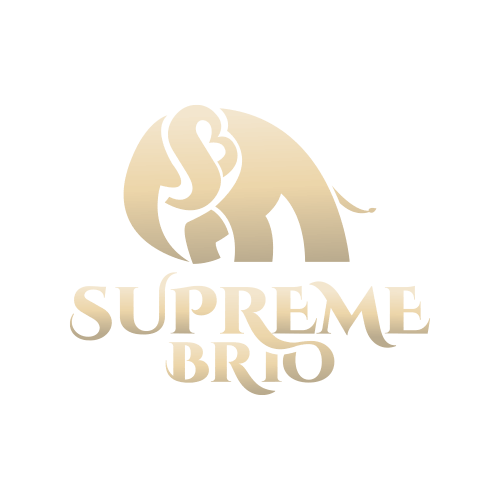 Combination Logo Design, Combination Mark Logo Design - ProDesigns