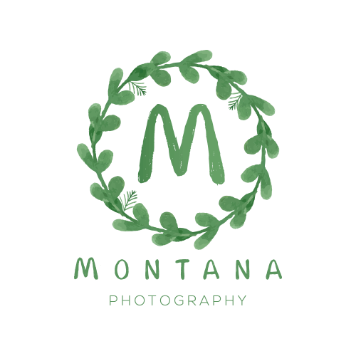 Watercolor Logos | Watercolor Logo Design - ProDesigns